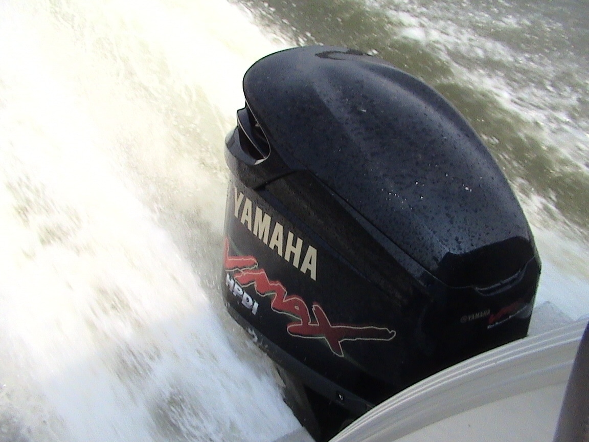 MISSISSIPPI RIVER EXCURSION - Avalon Pontoon Boats