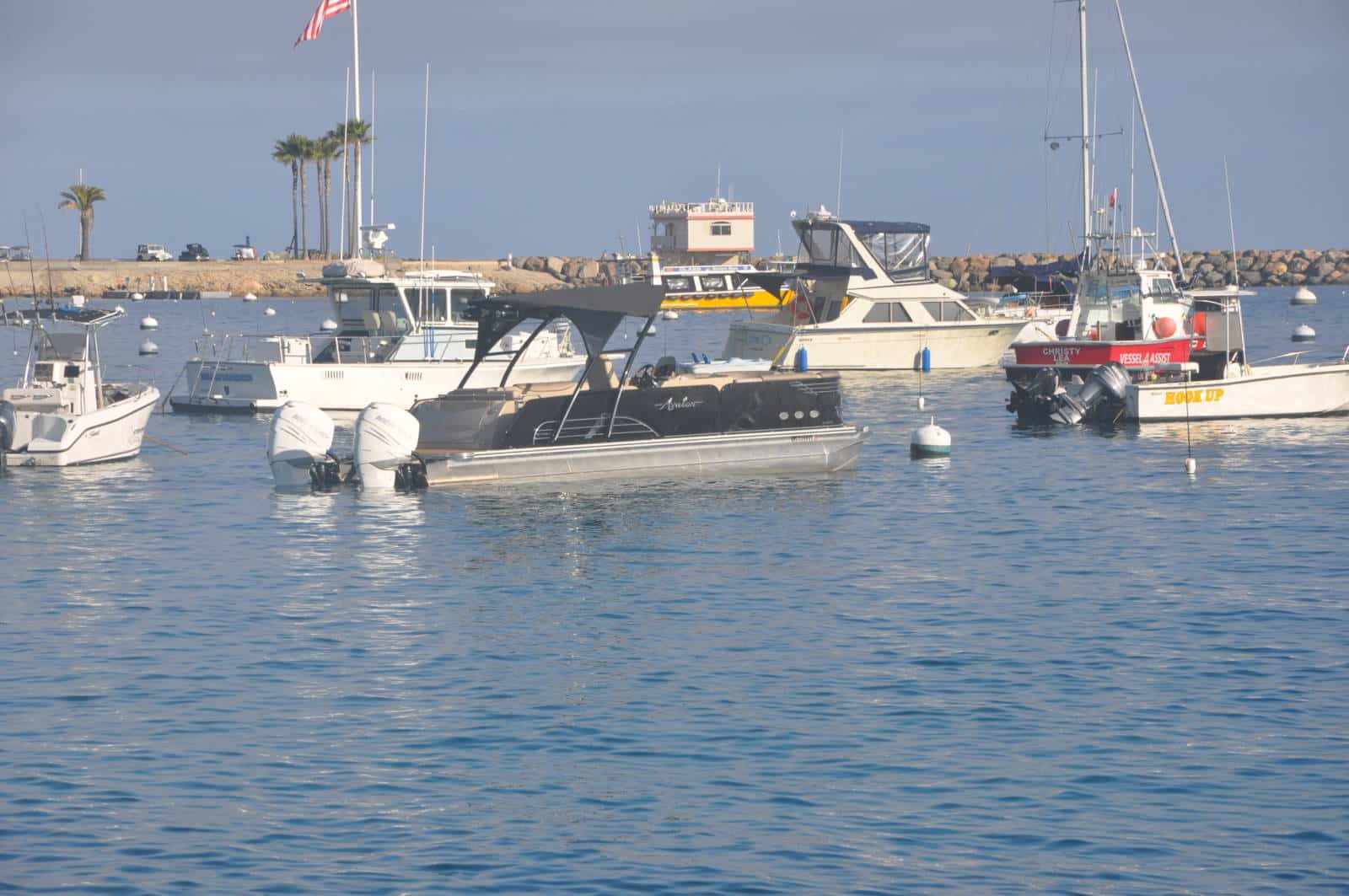 PACIFIC EXCURSION ADVENTURE - Avalon Pontoon Boats