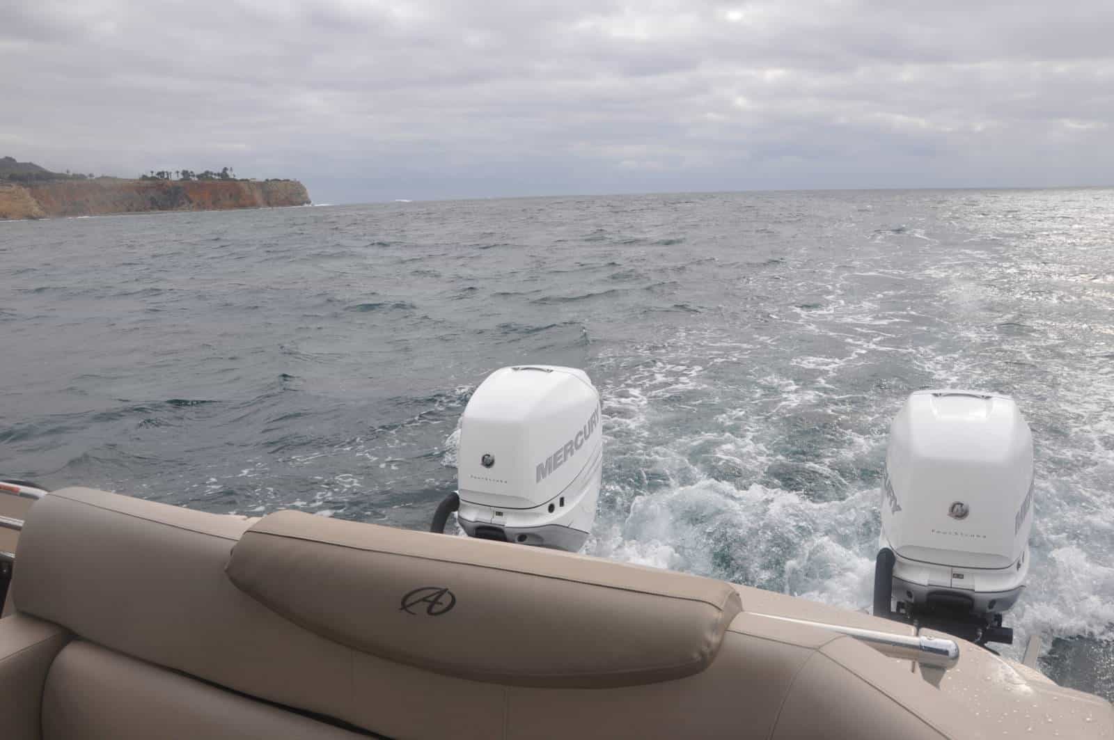 PACIFIC EXCURSION ADVENTURE - Avalon Pontoon Boats